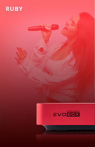 Professional karaoke set for home with 2.1 stereo system