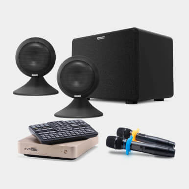 Professional karaoke set for home with 2.1 stereo system