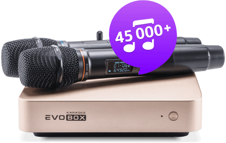 Professional karaoke set for home with 2.1 stereo system